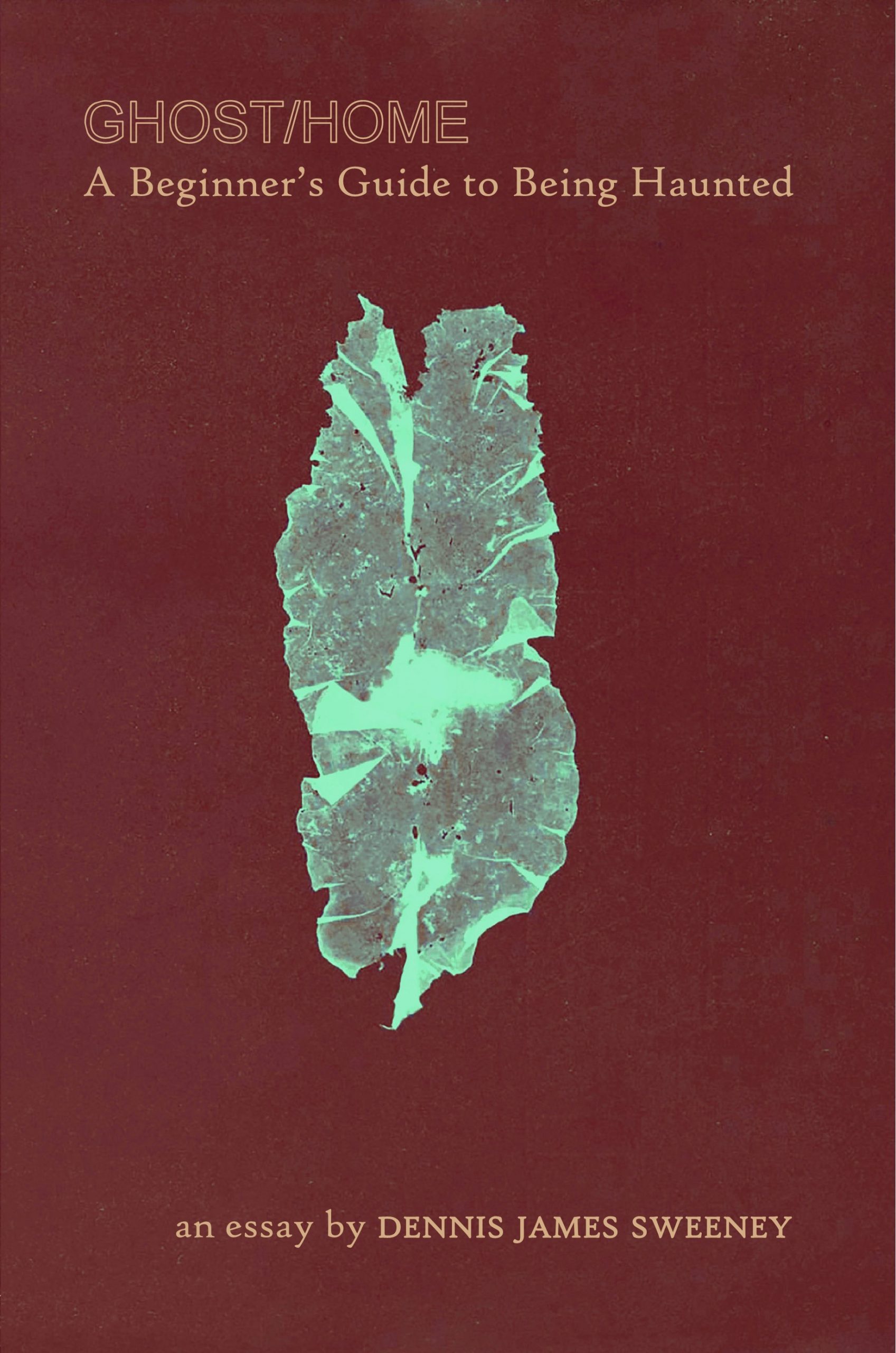 A Review of "Ghost/Home: A Beginner’s Guide to Being Haunted" - Witness ...