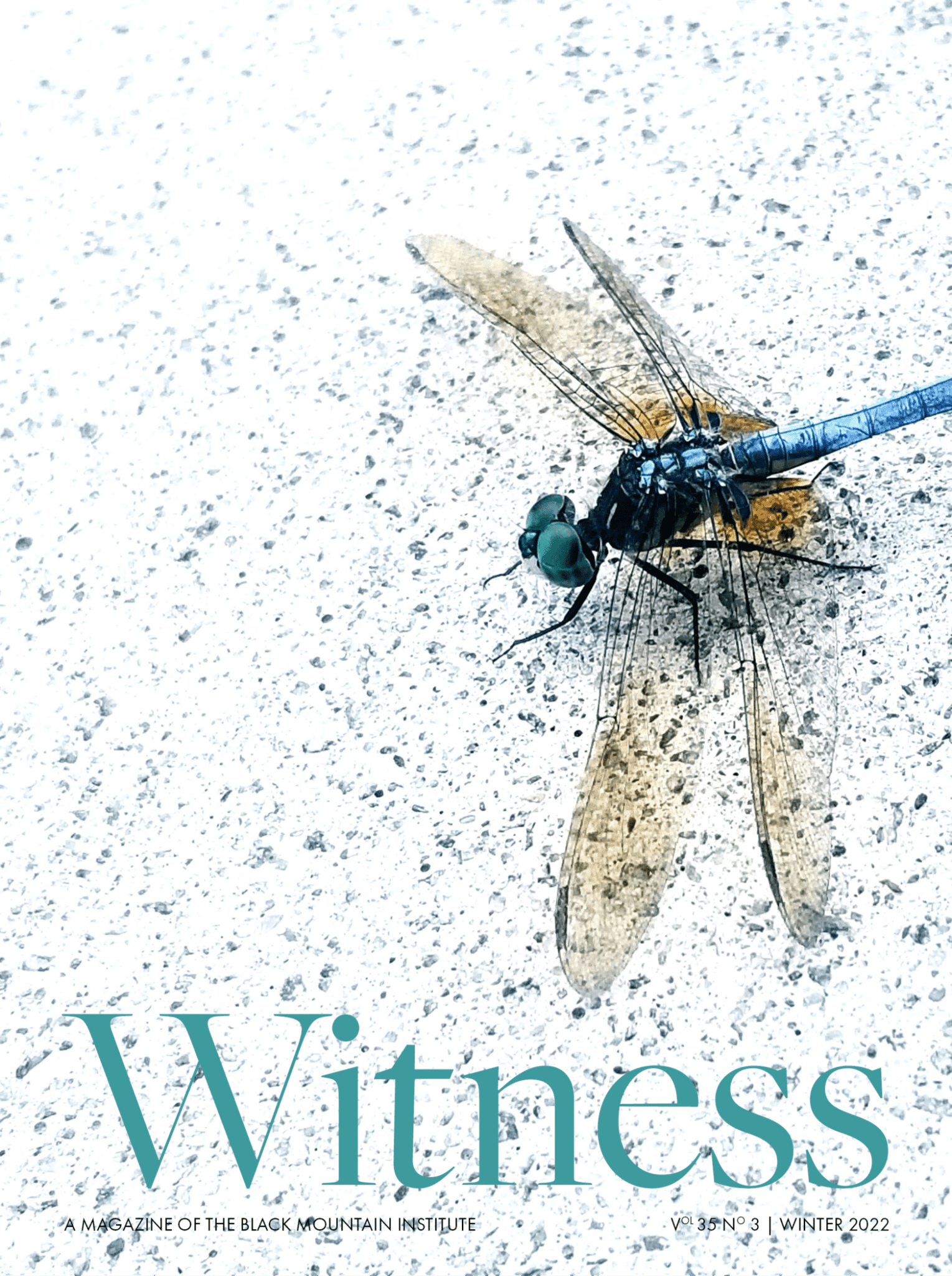 Submit Your Work - Witness Magazine